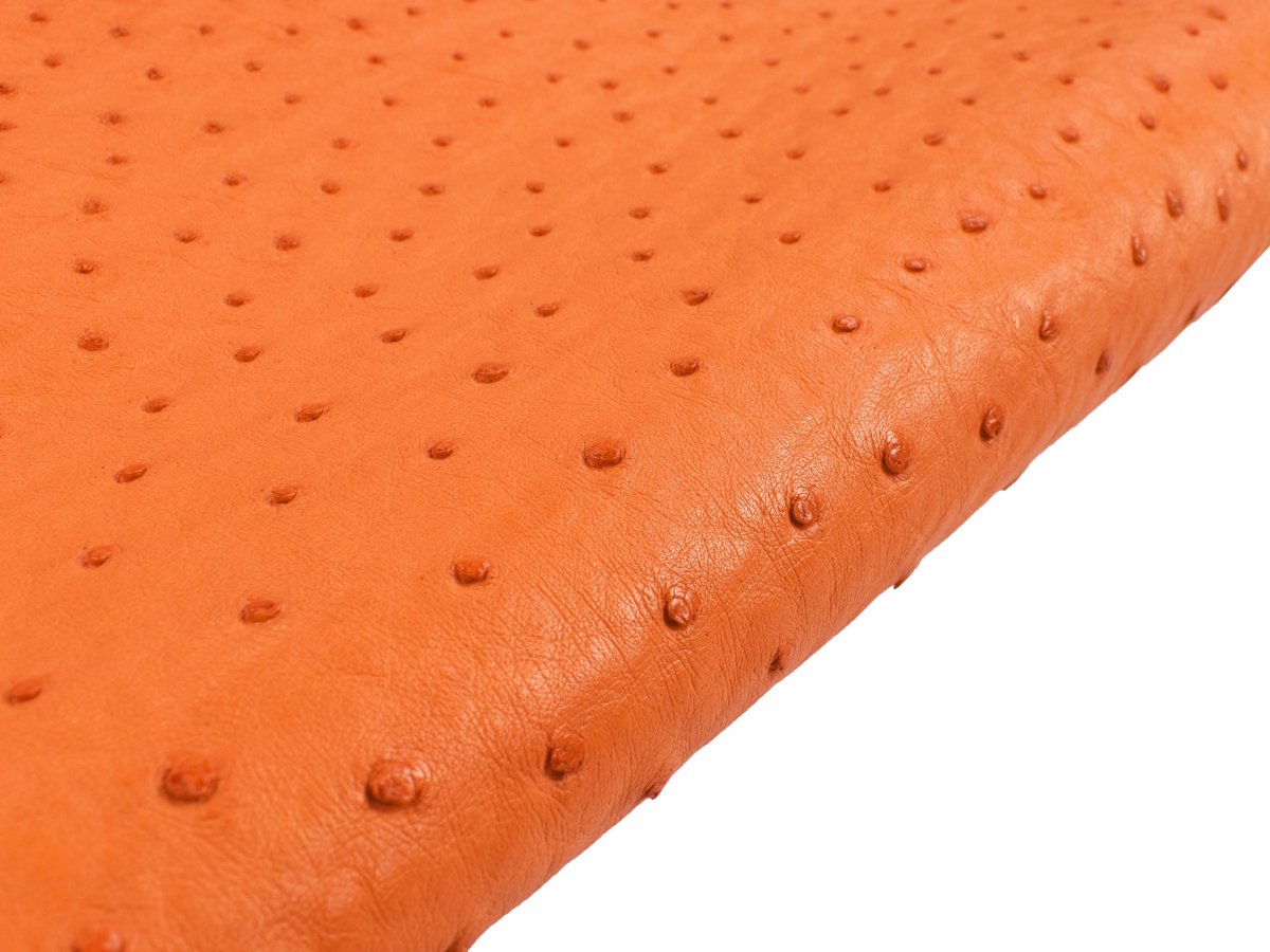 Ostrich Leather Hides | BuyLeatherOnline