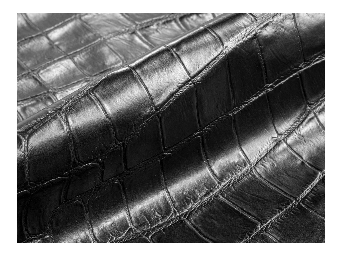 Giant Crocodile Embossed Calfskin Leather | BuyLeatherOnline