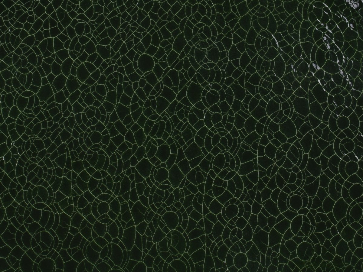 Green Leather Hides for Sale | BuyLeatherOnline