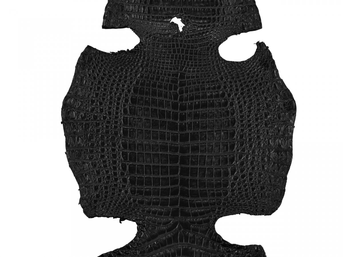 Genuine Caiman Leather for Sale | Exotic Leather | BuyLeatherOnline