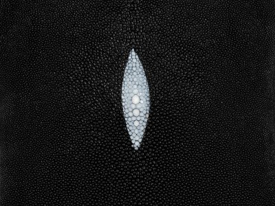 Stingray Leather Hides | Genuine Shagreen & Ray Skins for Sale ...