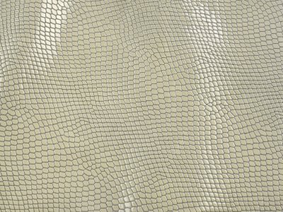 Python Embossed Patent Calf: 100% Italian Leather | BuyLeatherOnline