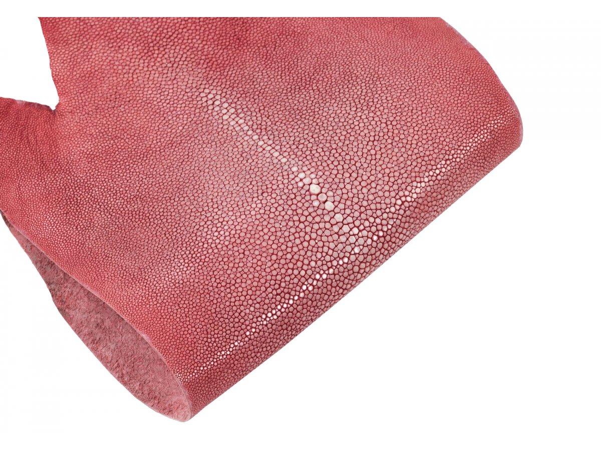Peau de raie : Cuir de poisson véritable | BuyLeatherOnline