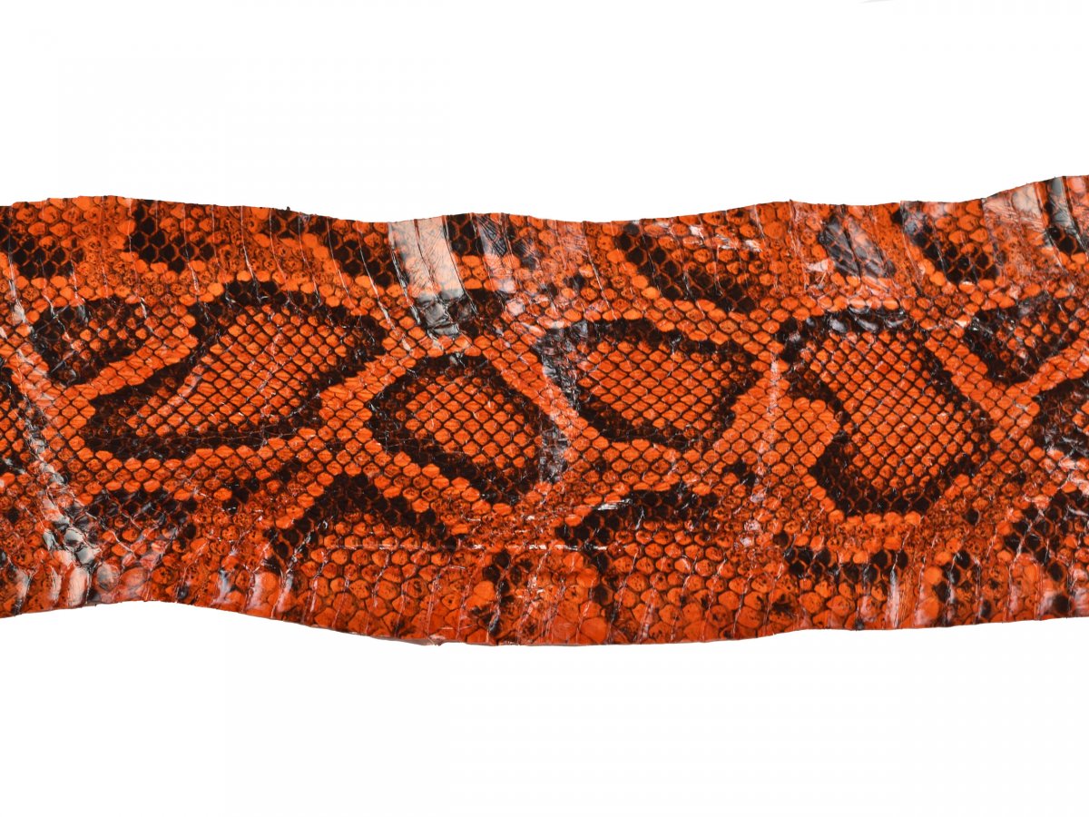Peau de serpent véritable Elaphe - Cuir exotique | BuyLeatherOnline