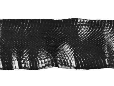 Black Leather Hides for Sale | BuyLeatherOnline