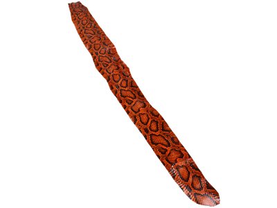 Peau de serpent véritable Elaphe - Cuir exotique | BuyLeatherOnline