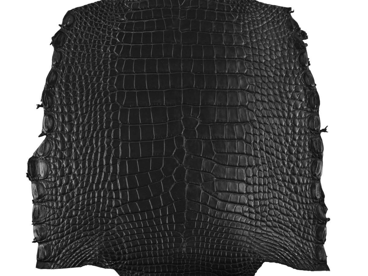 Genuine Alligator Leather | BuyLeatherOnline