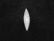 Stingray Leather Hides | Genuine Shagreen & Ray Skins for Sale ...