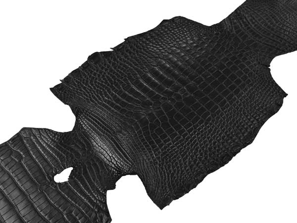 Crocodile & Alligator Leather | Genuine Exotic Hides for Sale ...